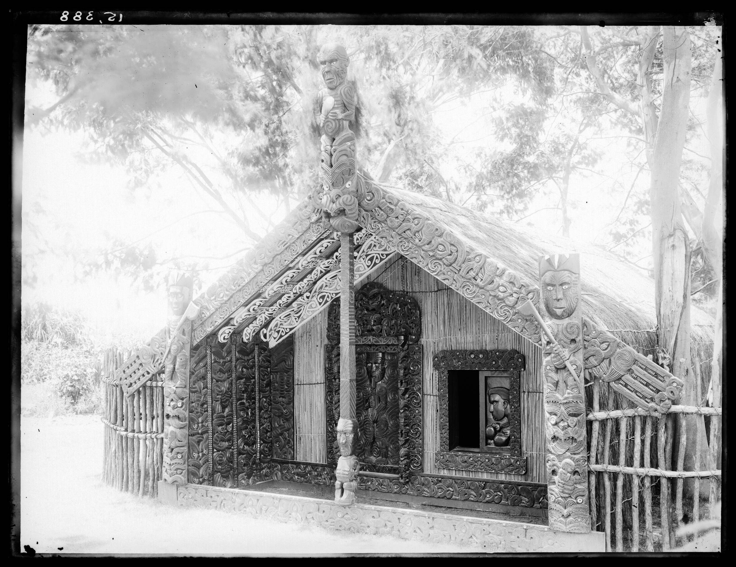 Wharenui Drawing