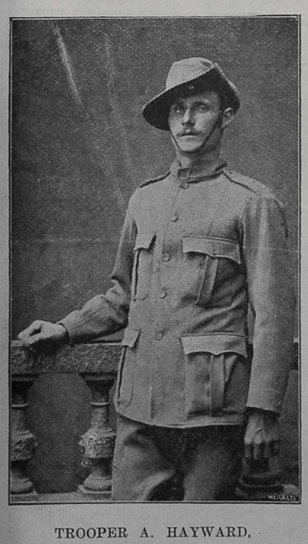 Albert Edward Hayward - Online Cenotaph - Auckland War Memorial Museum