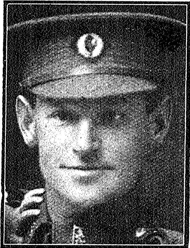 Andrew Leckie - Online Cenotaph - Auckland War Memorial Museum