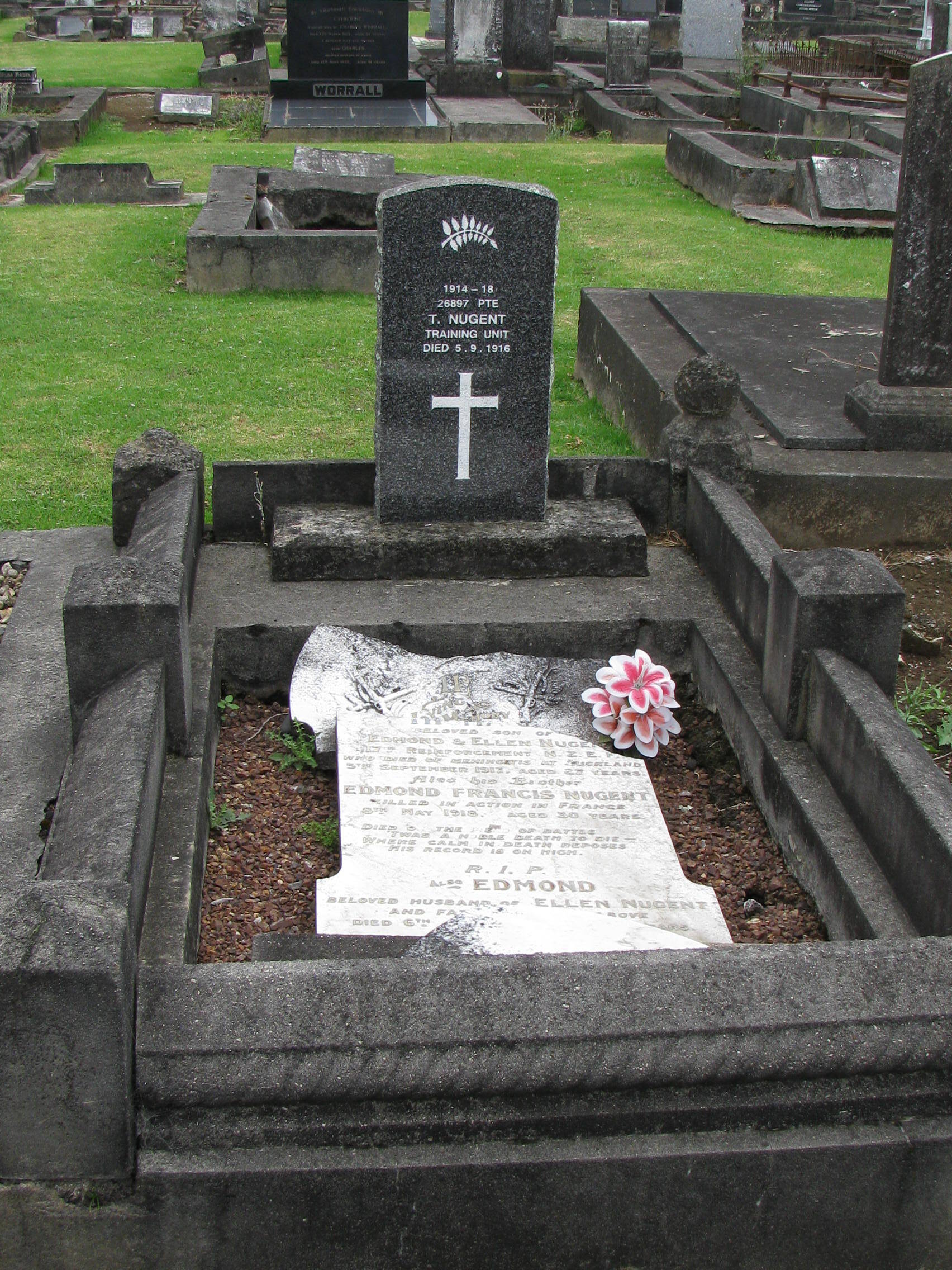 Thomas Nugent - Online Cenotaph - Auckland War Memorial Museum