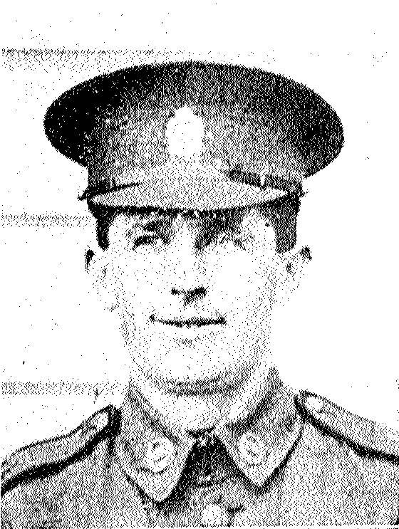 Timothy Moriarty - Online Cenotaph - Auckland War Memorial Museum