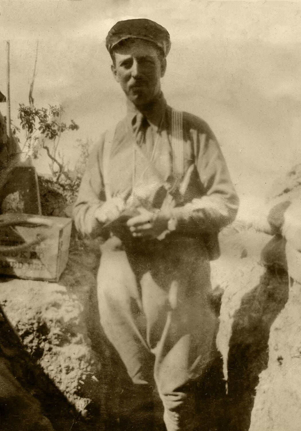 William FitzGerald Levin - Online Cenotaph - Auckland War Memorial Museum