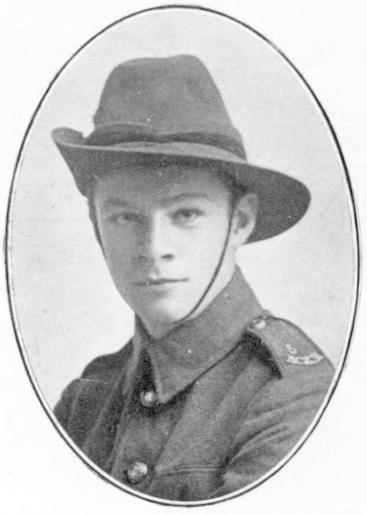 Cecil Angus McNiven - Online Cenotaph - Auckland War Memorial Museum