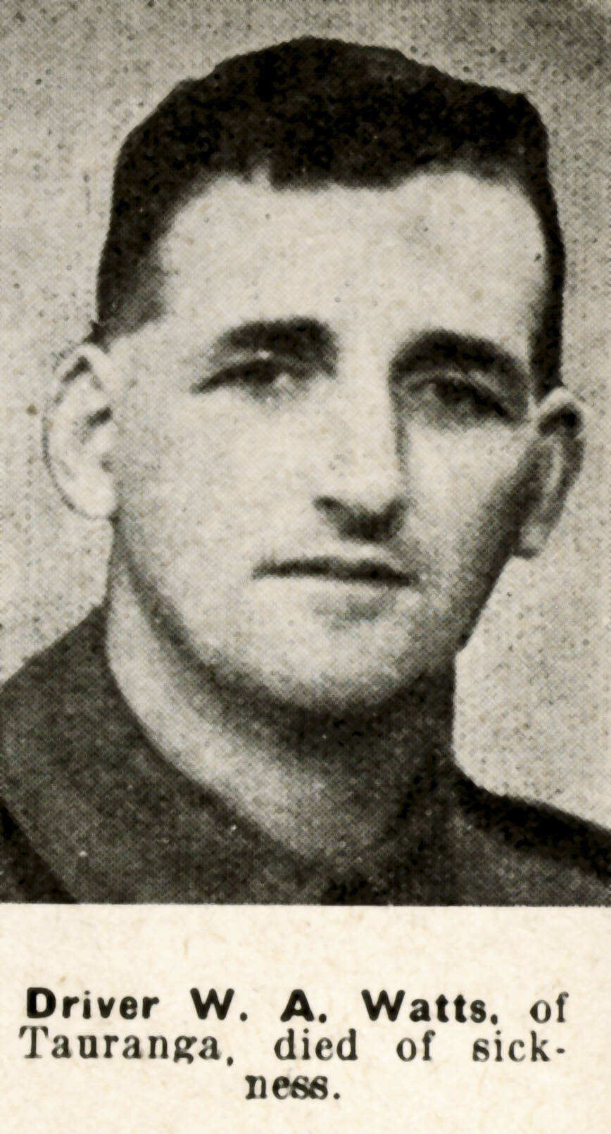 William Arthur Watts - Online Cenotaph - Auckland War Memorial Museum