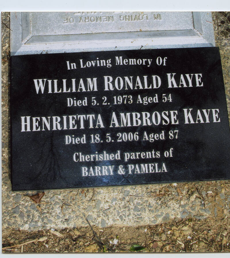 William Ronald Kaye - Online Cenotaph - Auckland War Memorial Museum