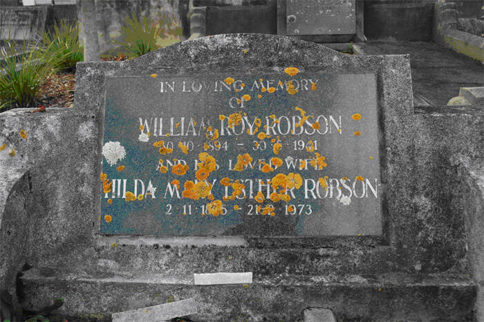 William Roy Robson - Online Cenotaph - Auckland War Memorial Museum