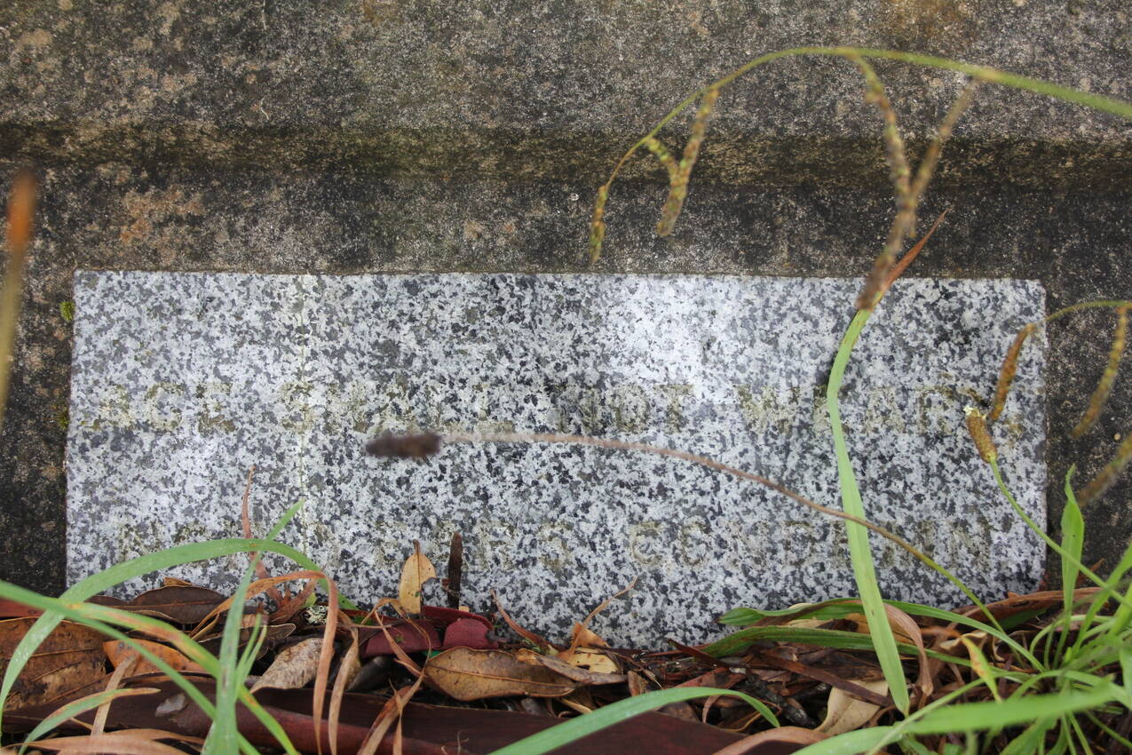 Henry Edward Sparkes - Online Cenotaph - Auckland War Memorial Museum
