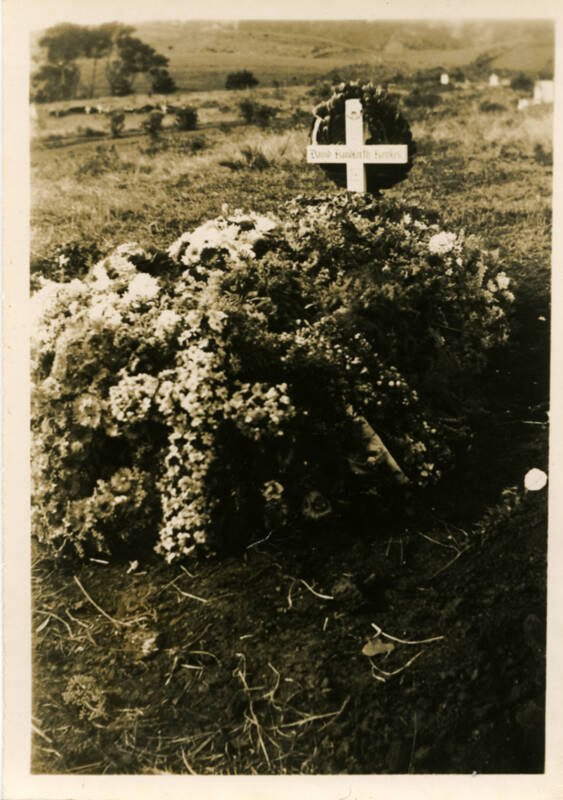 David Handforth Hawkes - Online Cenotaph - Auckland War Memorial Museum