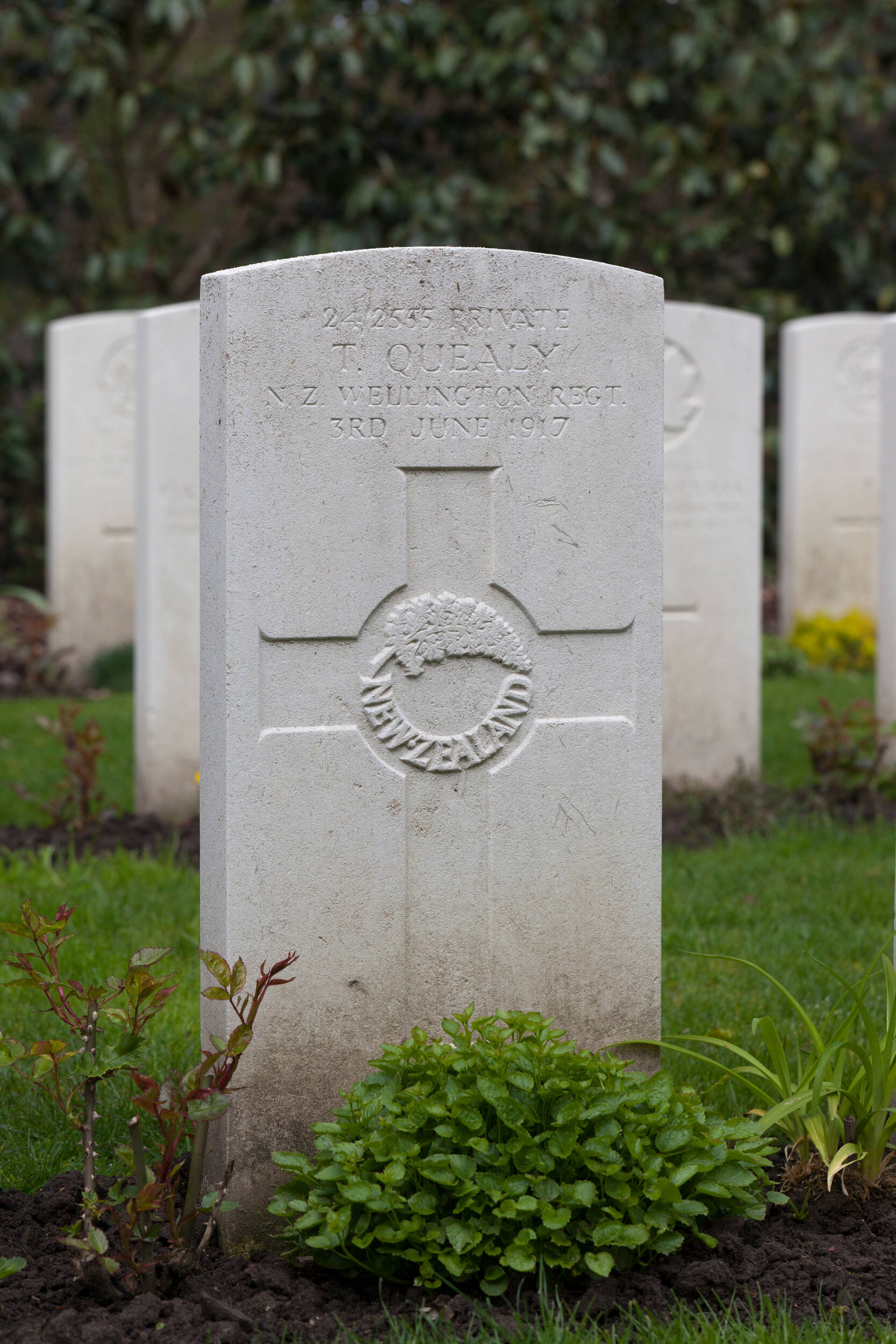 Thomas Quealy - Online Cenotaph - Auckland War Memorial Museum