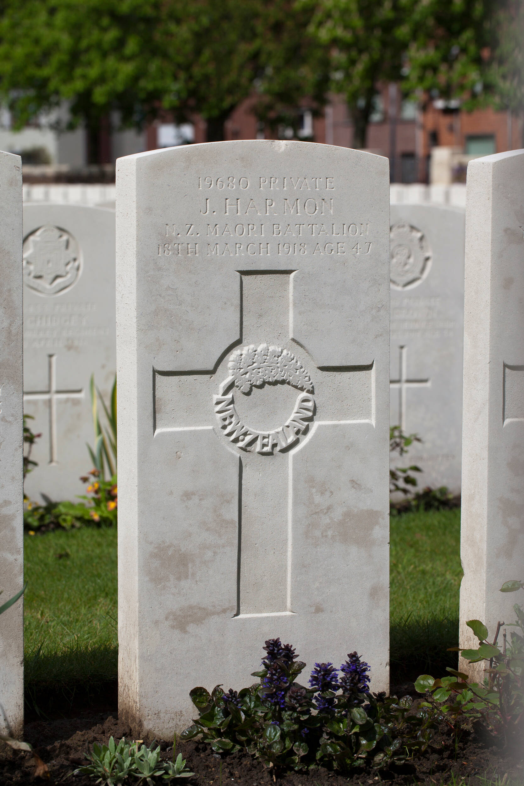 James Harmon - Online Cenotaph - Auckland War Memorial Museum