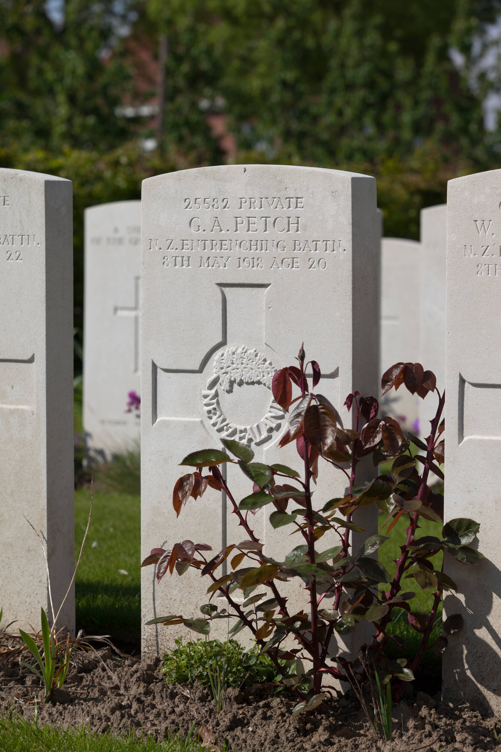 George Alfred Petch - Online Cenotaph - Auckland War Memorial Museum