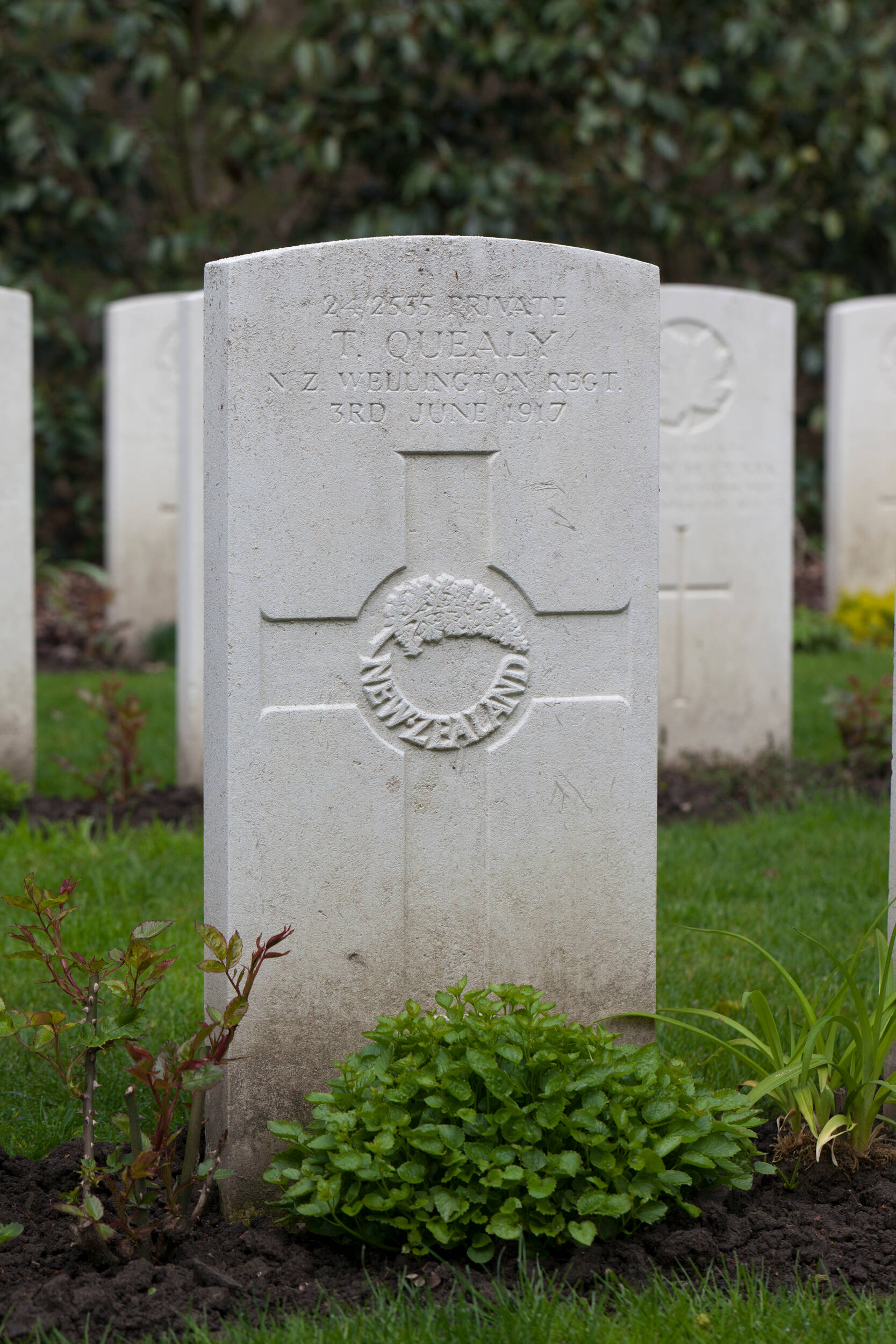 Thomas Quealy - Online Cenotaph - Auckland War Memorial Museum