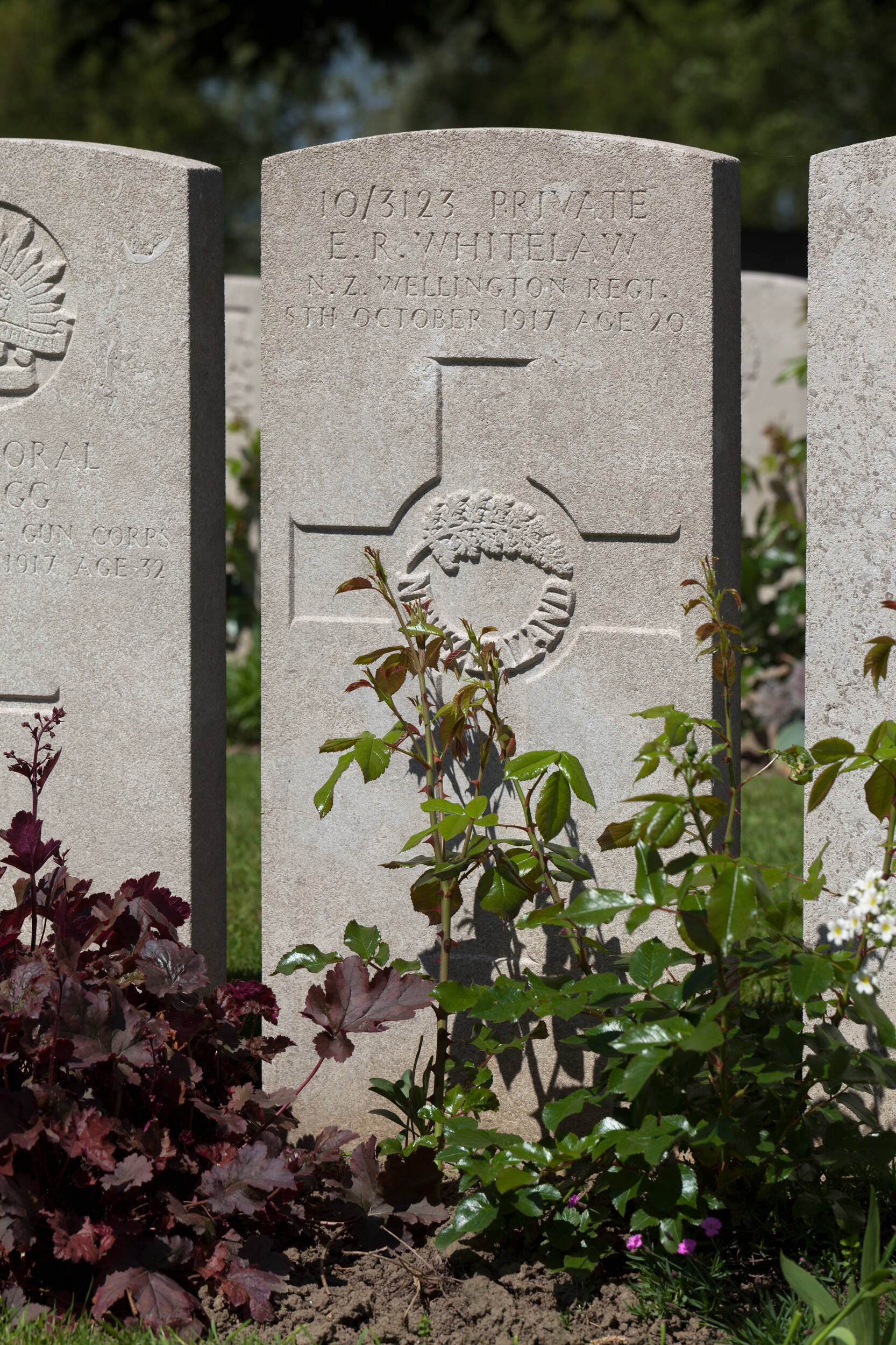 Eric Roland Whitelaw - Online Cenotaph - Auckland War Memorial Museum