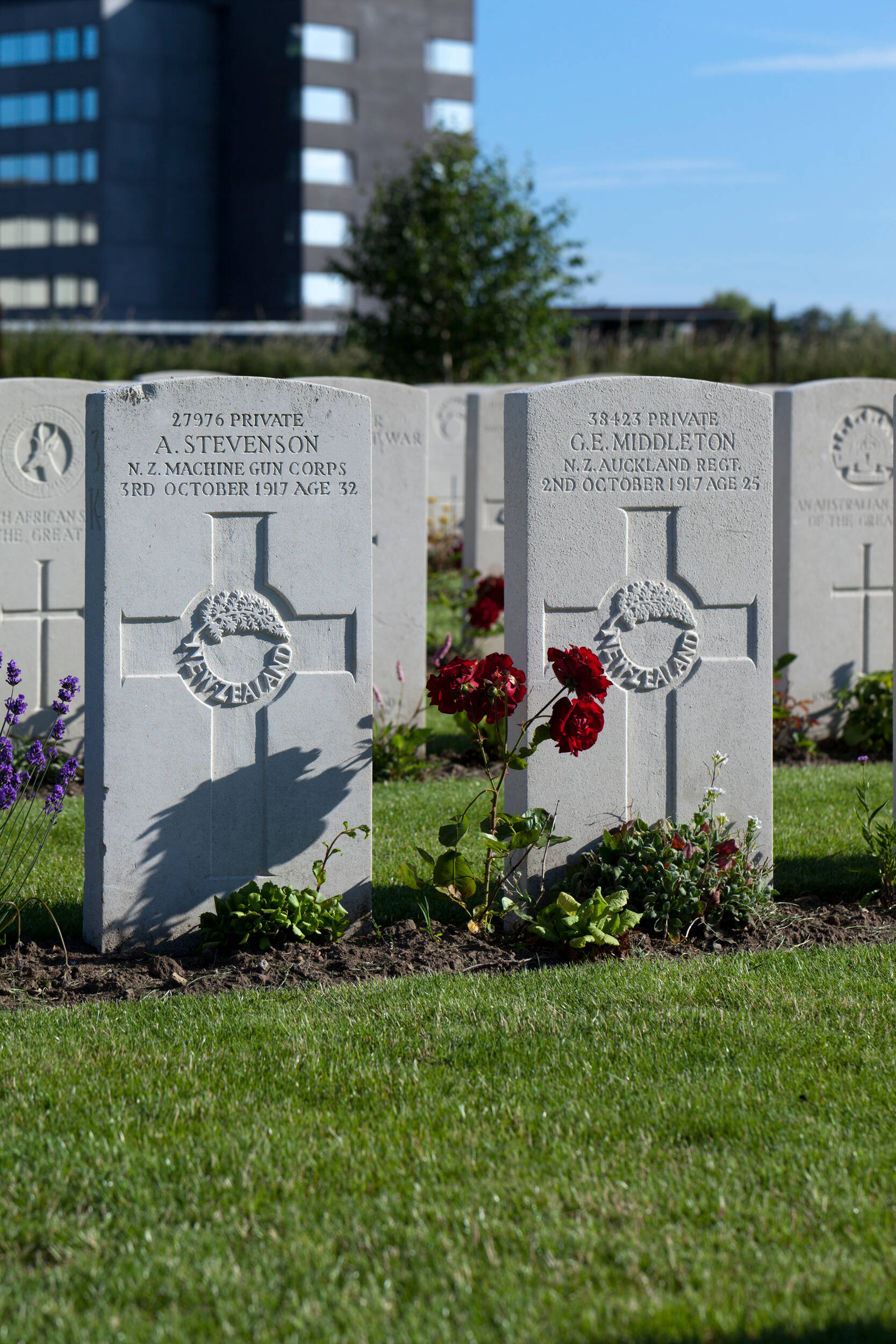 George Edwin Middleton - Online Cenotaph - Auckland War Memorial Museum