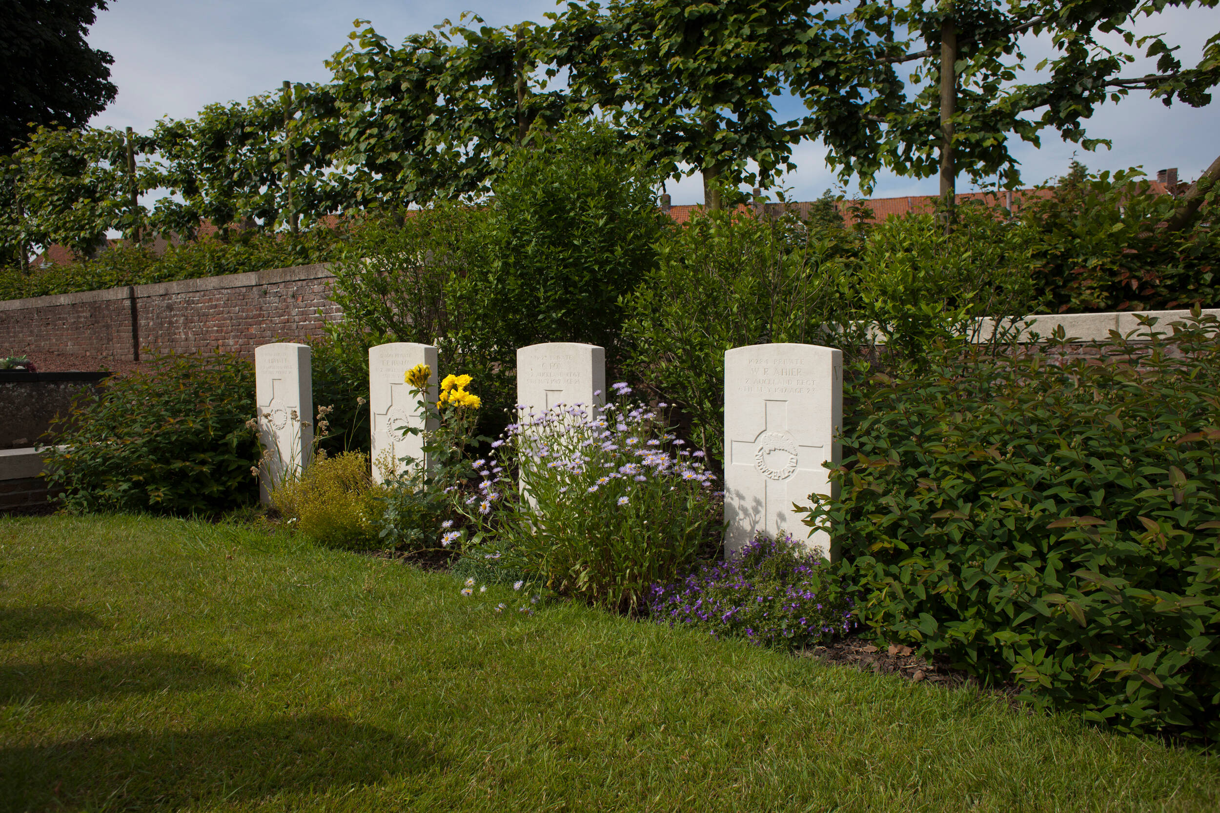 Thomas Patrick Hanlon - Online Cenotaph - Auckland War Memorial Museum