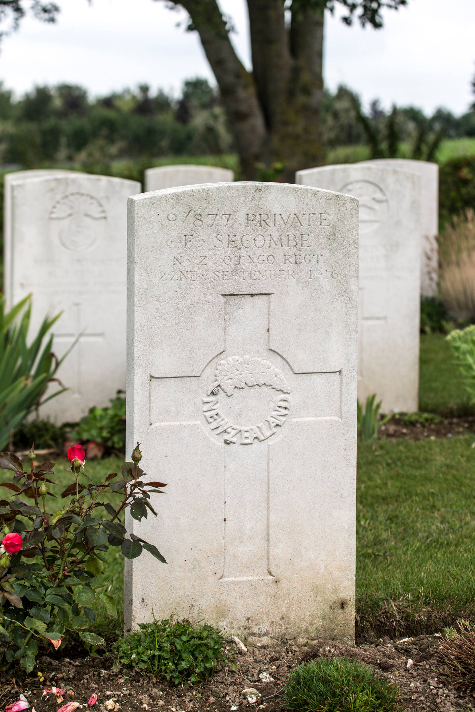 Frederick Secombe - Online Cenotaph - Auckland War Memorial Museum
