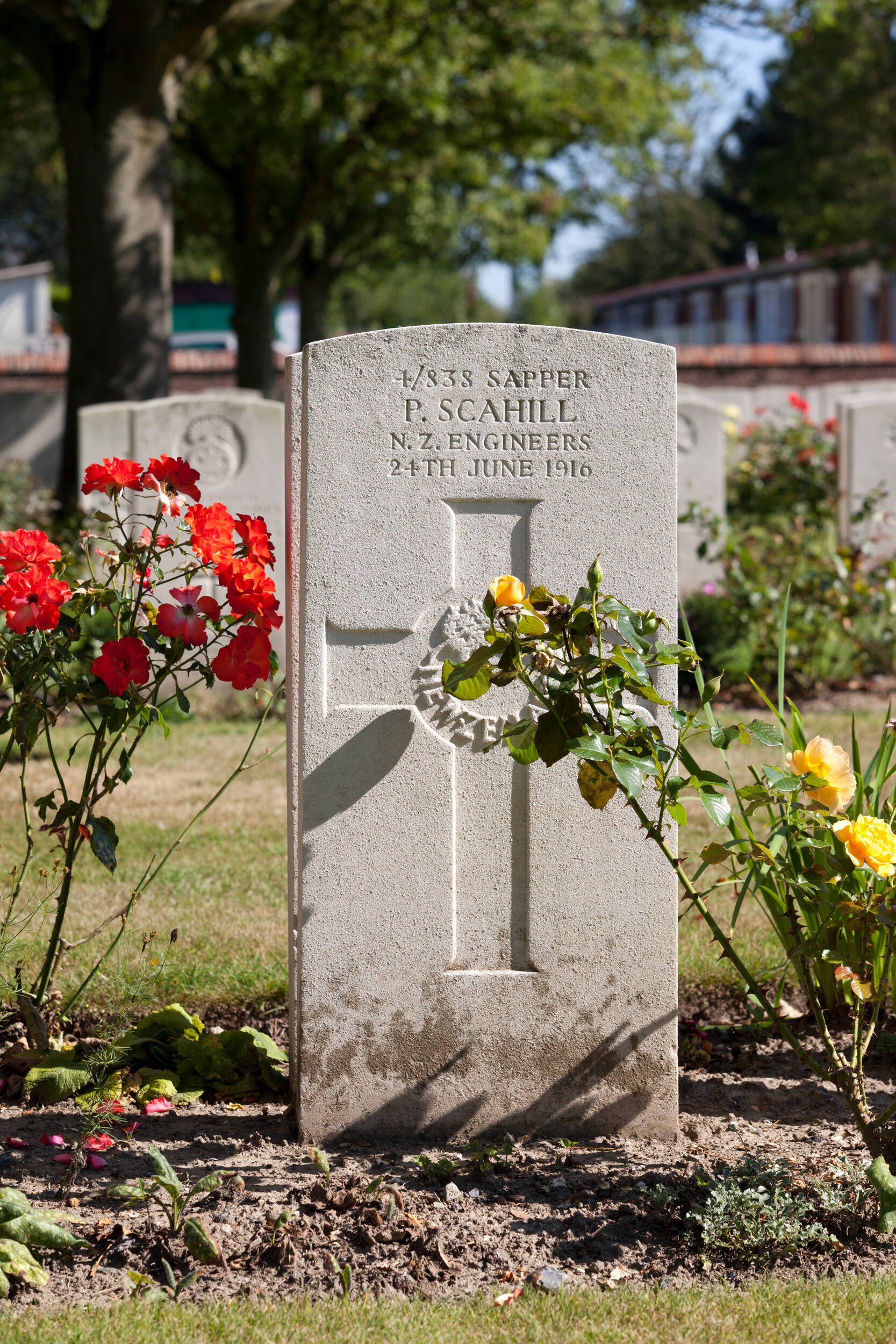 Patrick Scahill - Online Cenotaph - Auckland War Memorial Museum