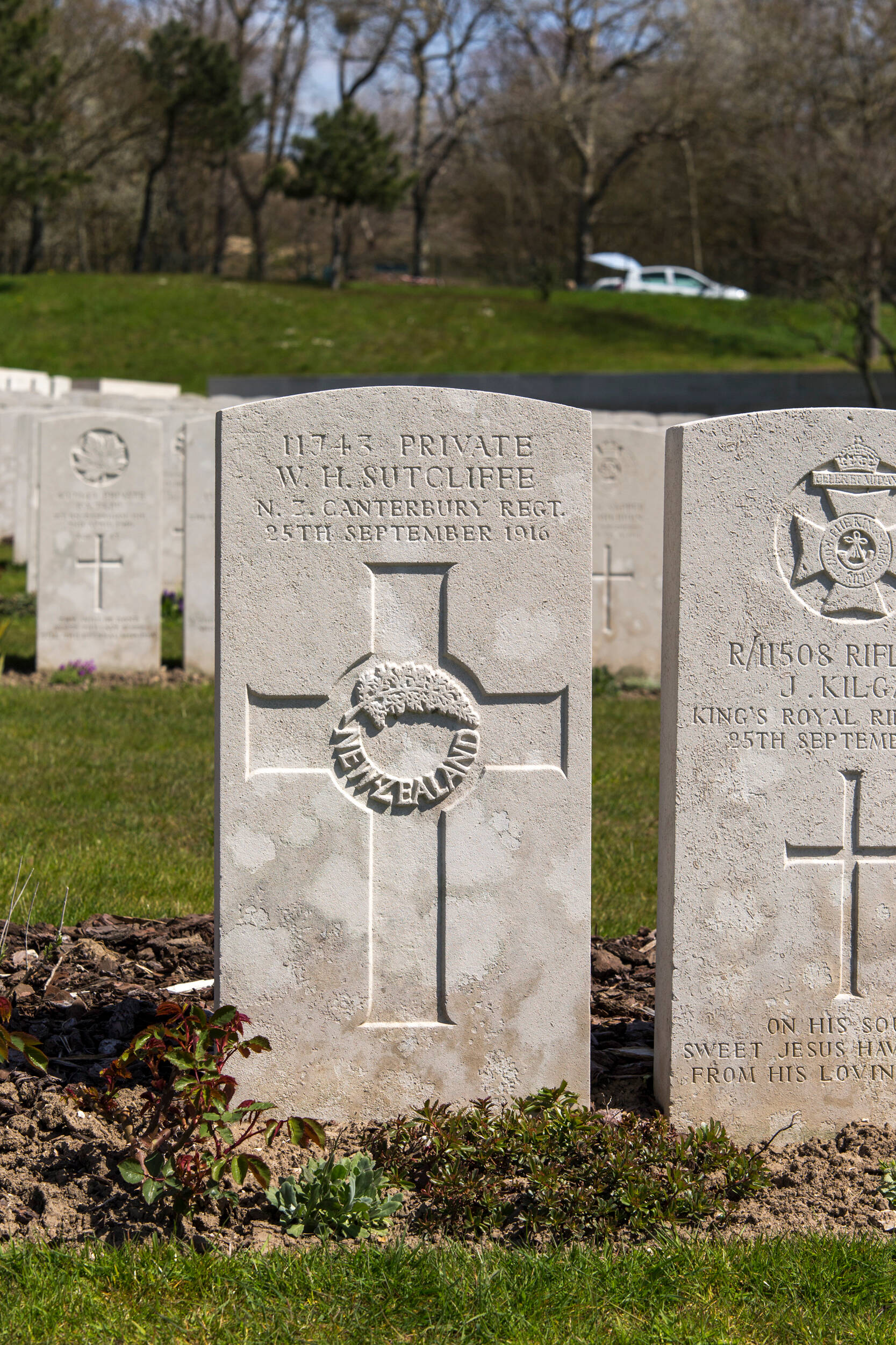 William Henry Sutcliffe - Online Cenotaph - Auckland War Memorial Museum
