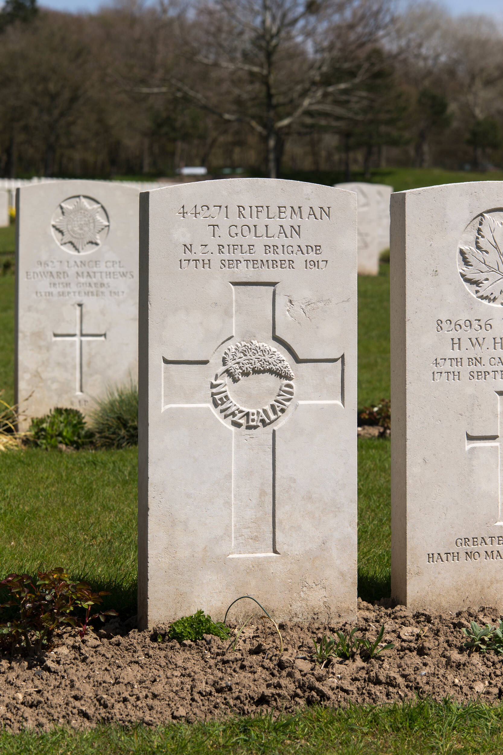 Thomas Gollan - Online Cenotaph - Auckland War Memorial Museum