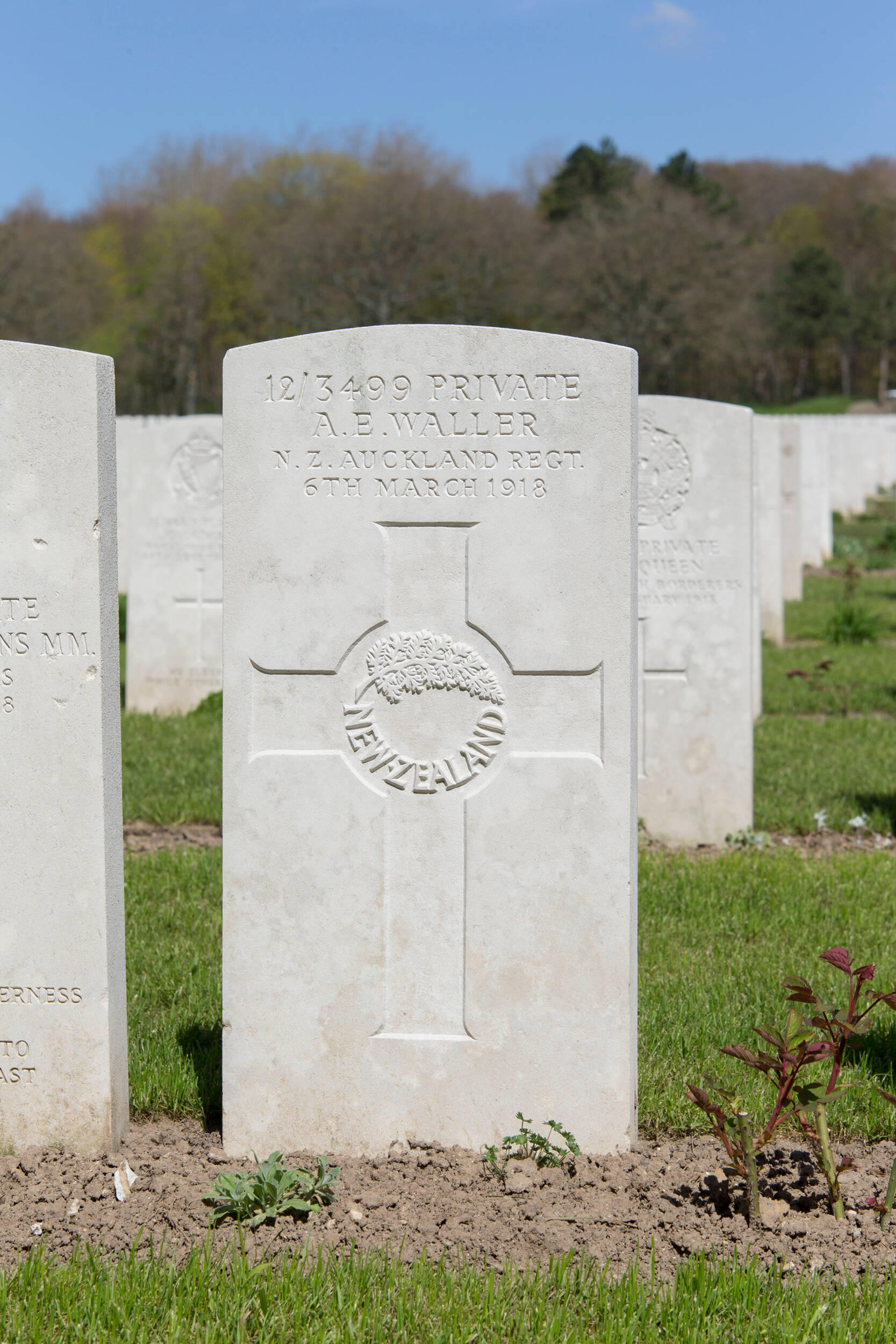 Alfred Eric Waller - Online Cenotaph - Auckland War Memorial Museum