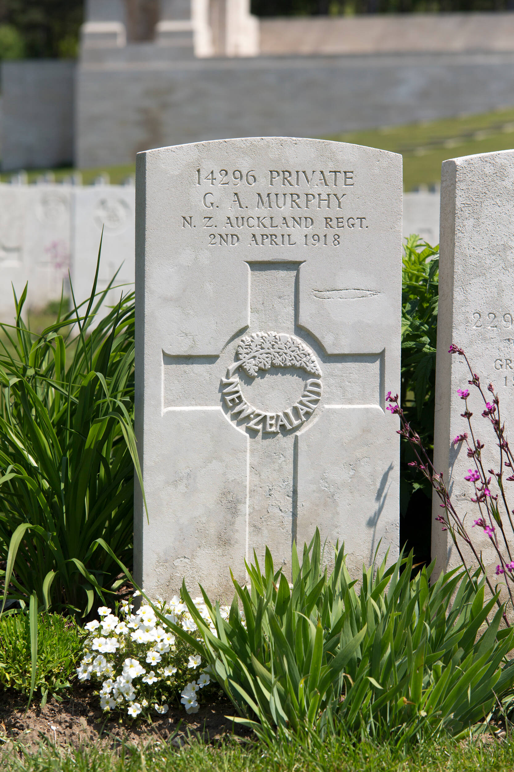 George Alexander Murphy - Online Cenotaph - Auckland War Memorial Museum