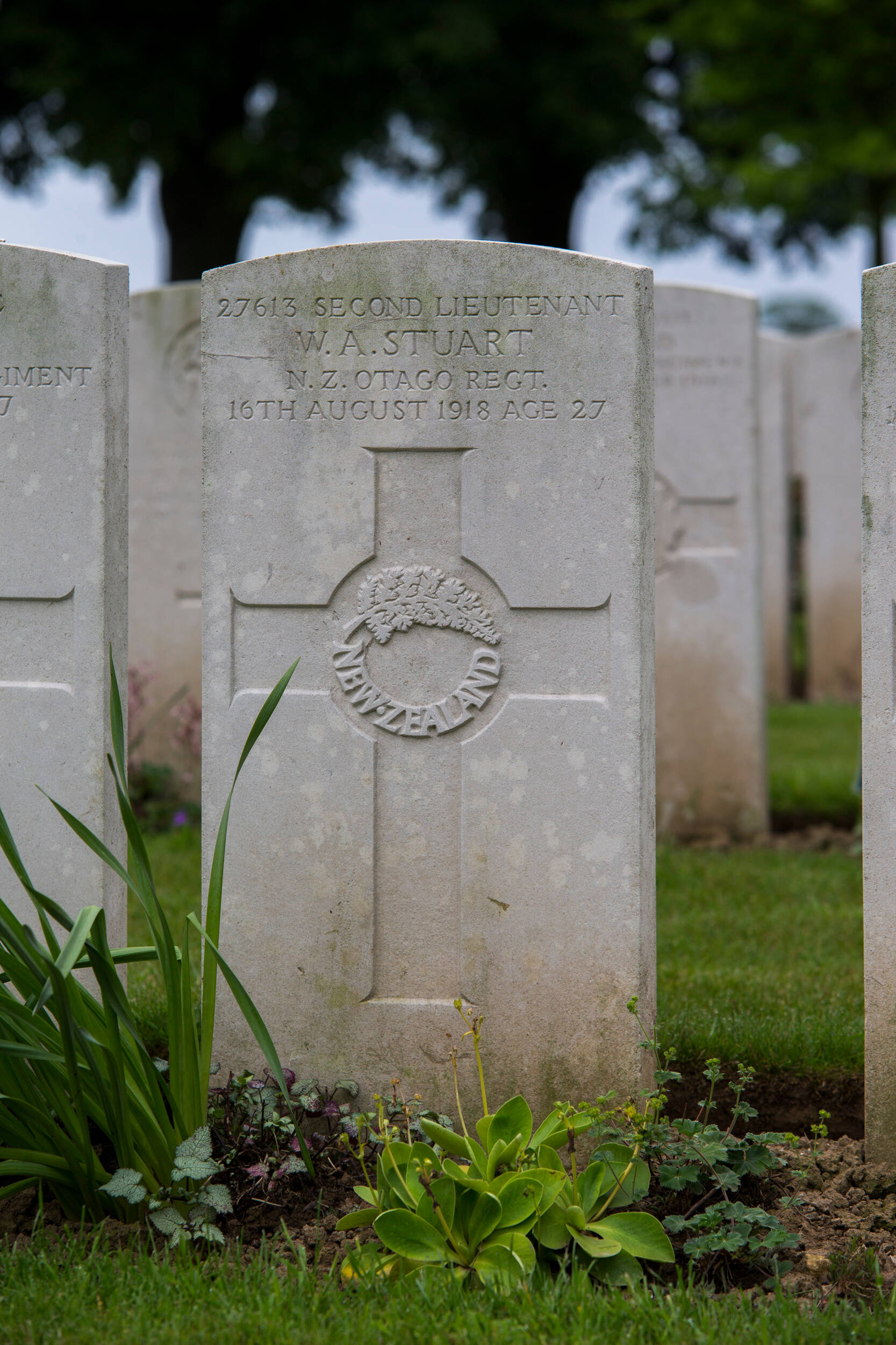 William Alexander Stuart - Online Cenotaph - Auckland War Memorial Museum