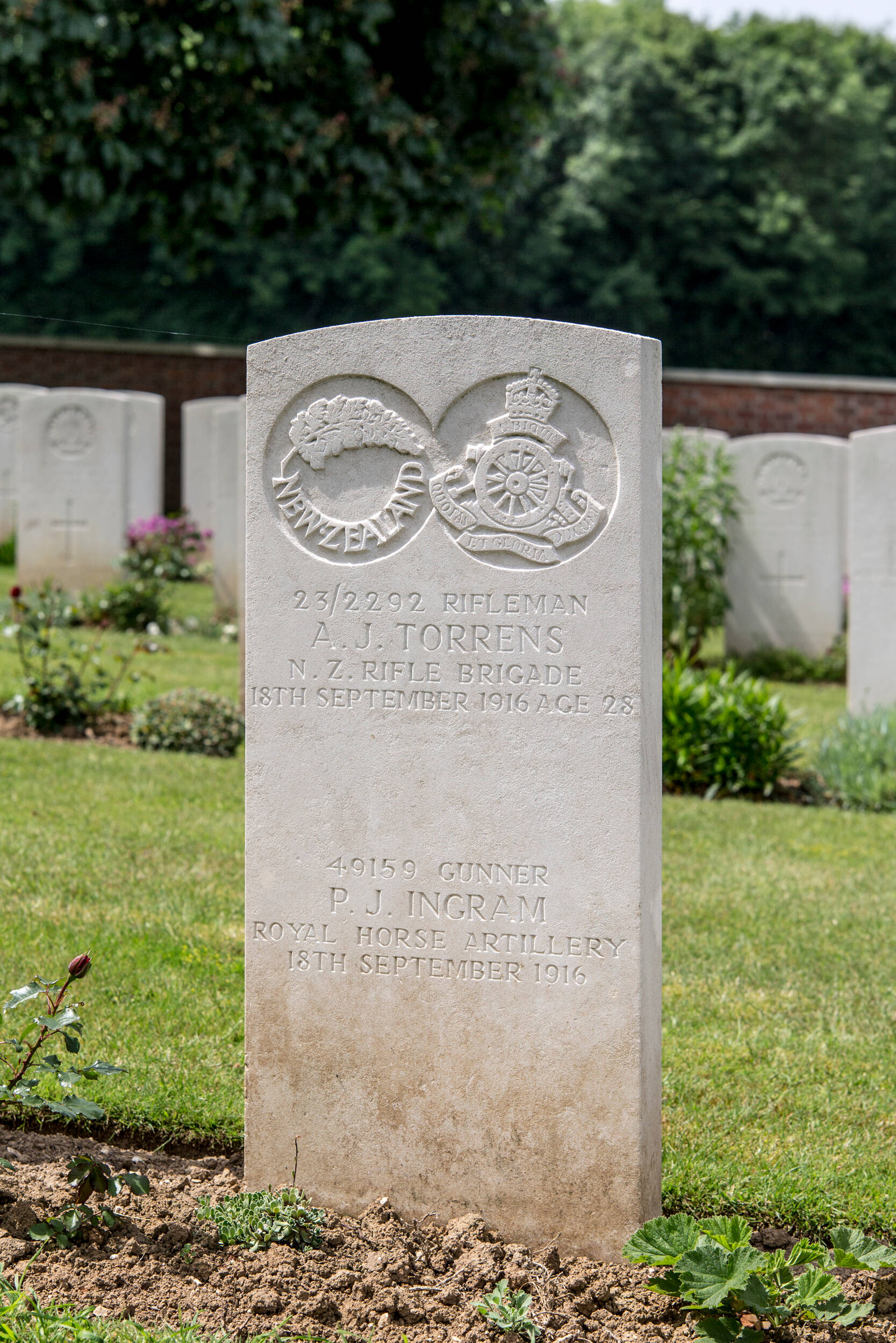 Alfred James Torrens - Online Cenotaph - Auckland War Memorial Museum