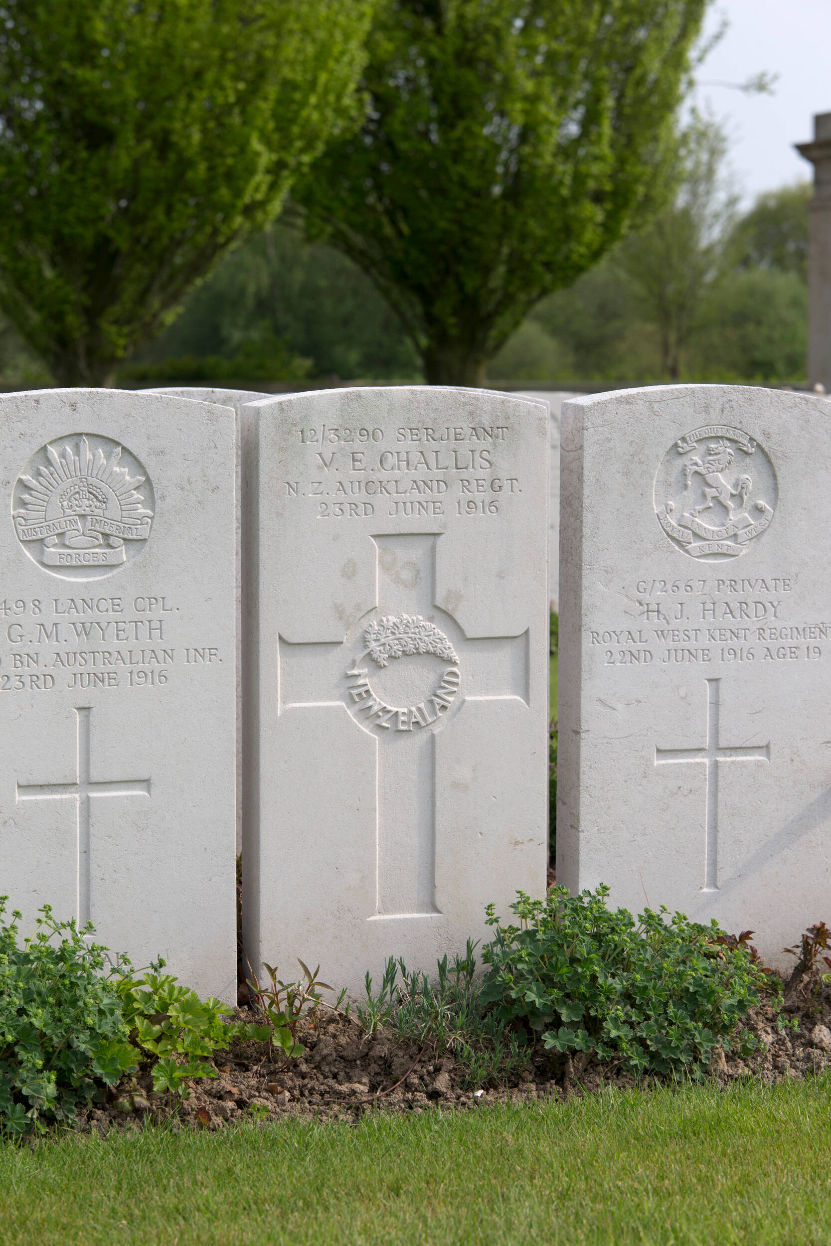 Vernon Edward Challis - Online Cenotaph - Auckland War Memorial Museum