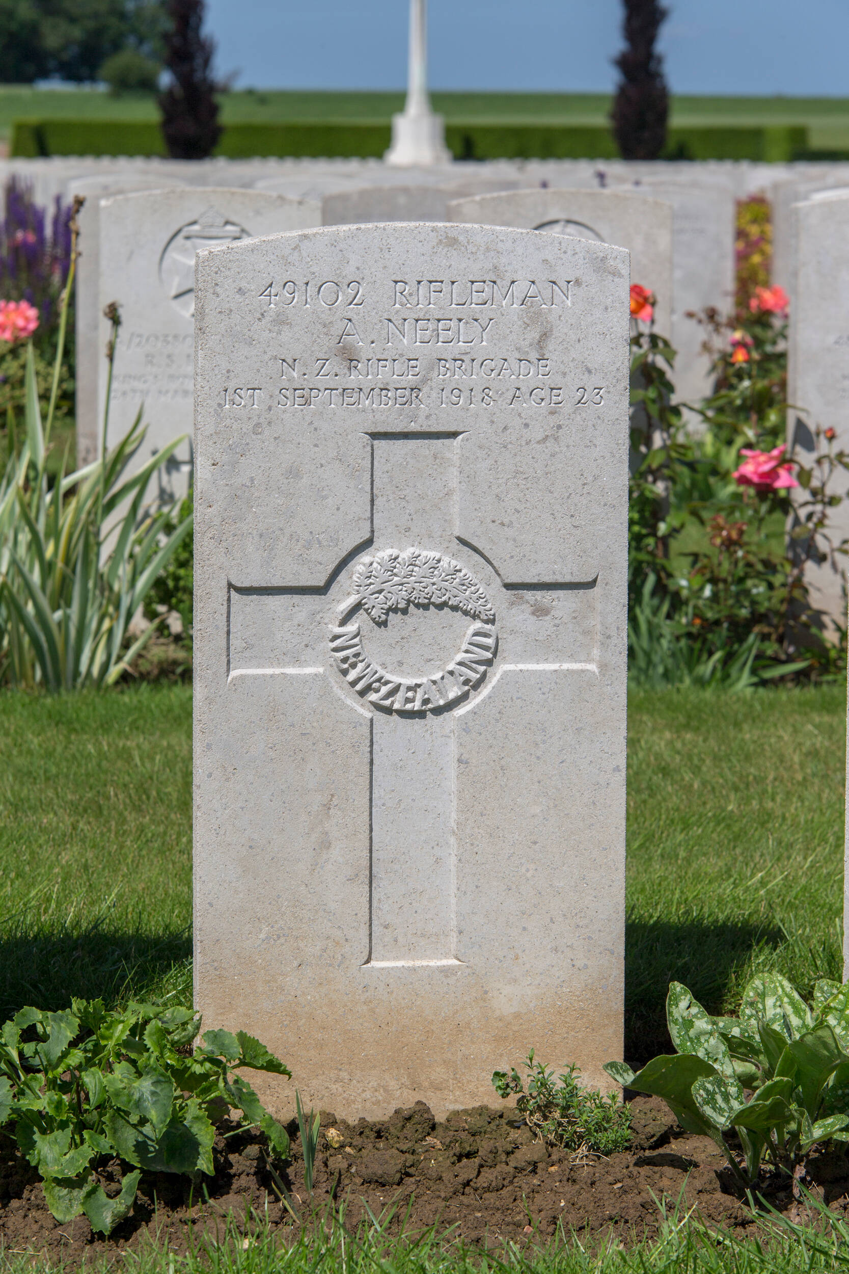 Allston Neely - Online Cenotaph - Auckland War Memorial Museum