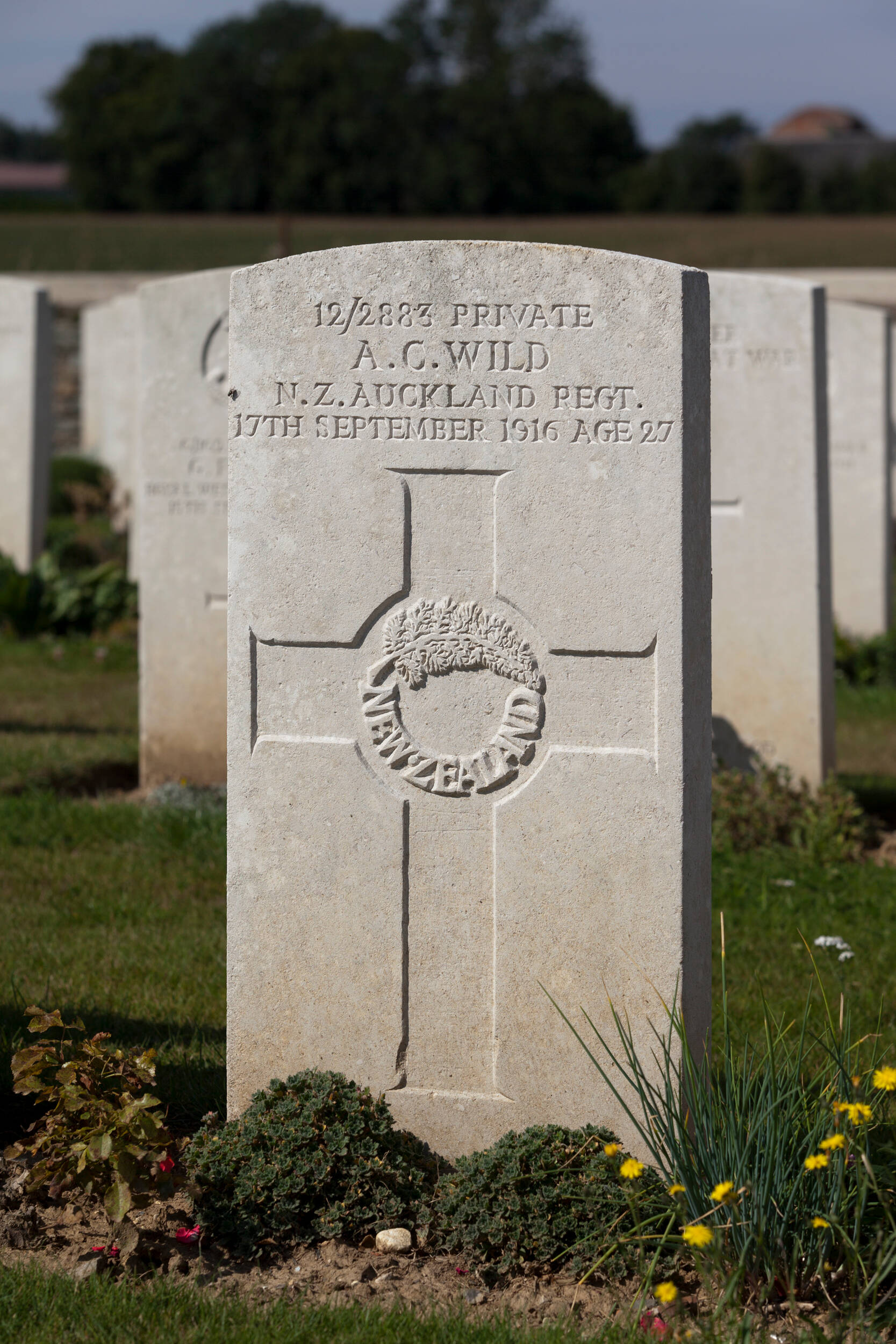 Alfred Charles Wild - Online Cenotaph - Auckland War Memorial Museum