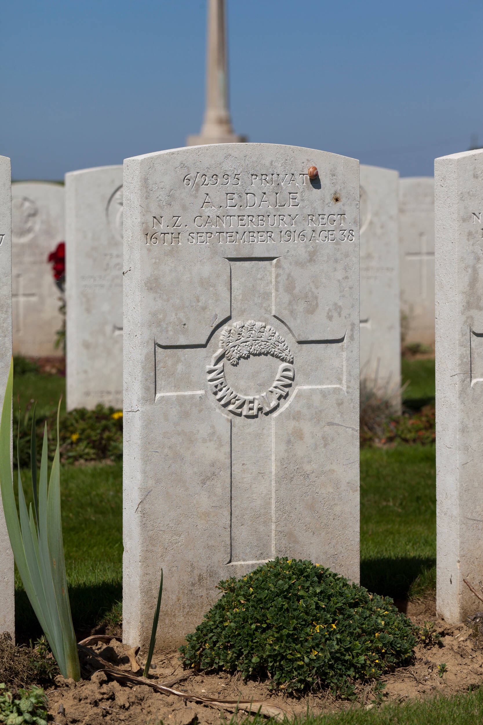 Alfred Ernest Dale - Online Cenotaph - Auckland War Memorial Museum