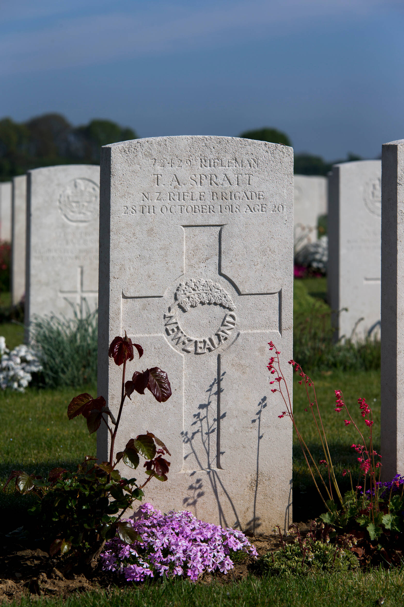 Thomas Alexander Spratt - Online Cenotaph - Auckland War Memorial Museum