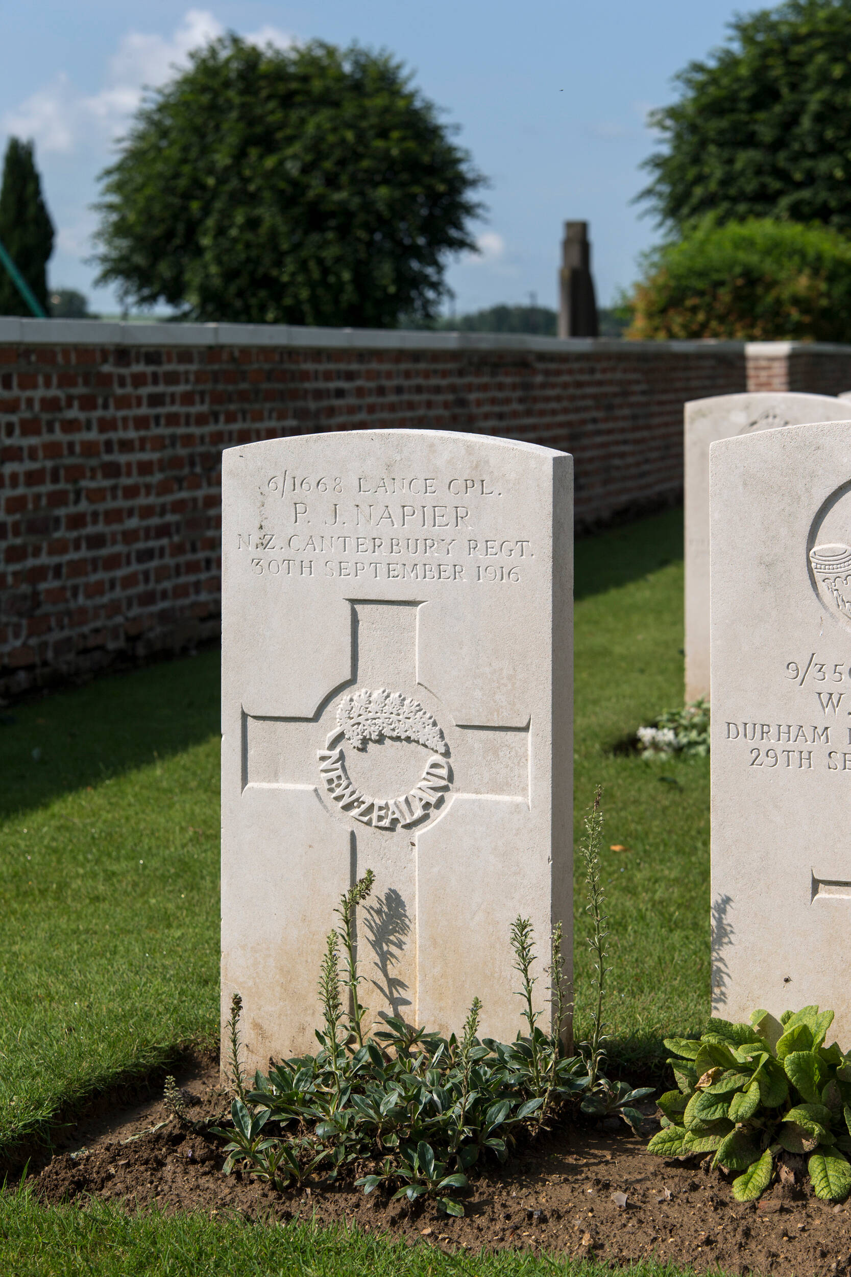 Percival John Napier - Online Cenotaph - Auckland War Memorial Museum
