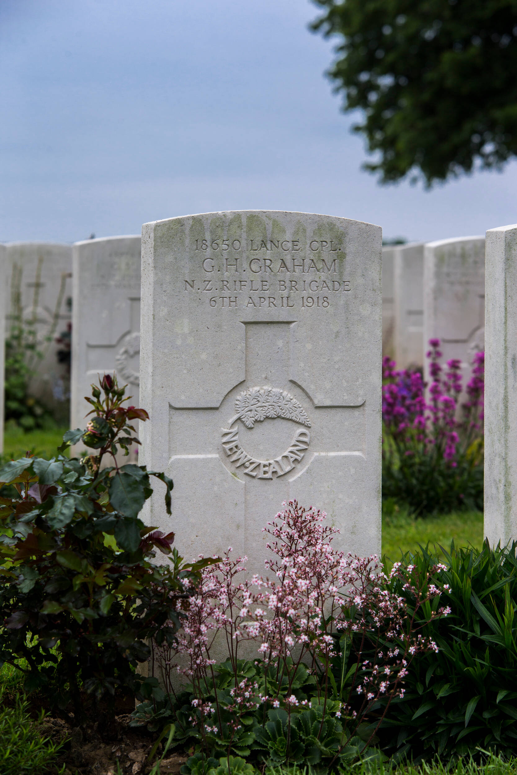 George Henning Graham - Online Cenotaph - Auckland War Memorial Museum
