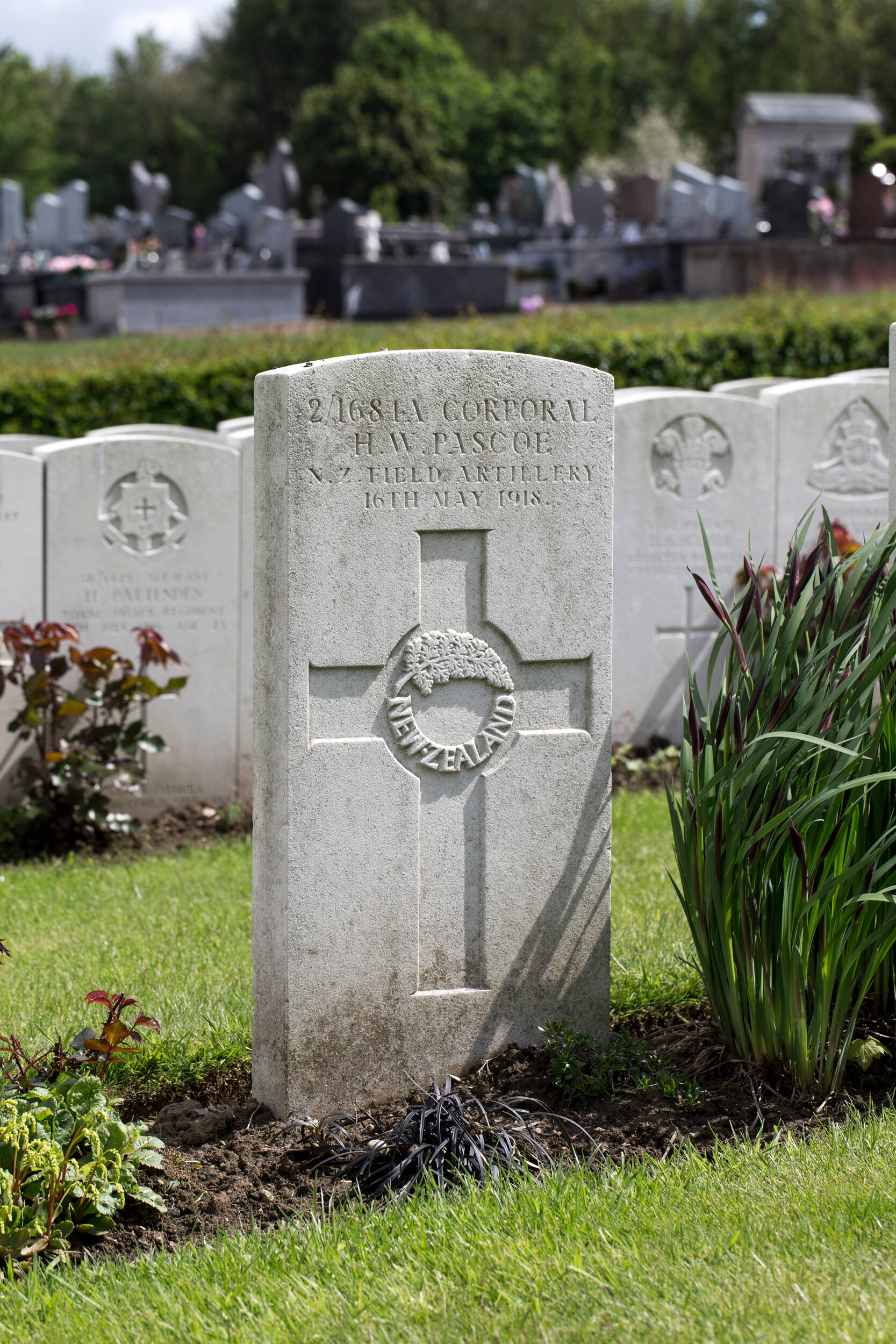 Henry Walter Pascoe - Online Cenotaph - Auckland War Memorial Museum