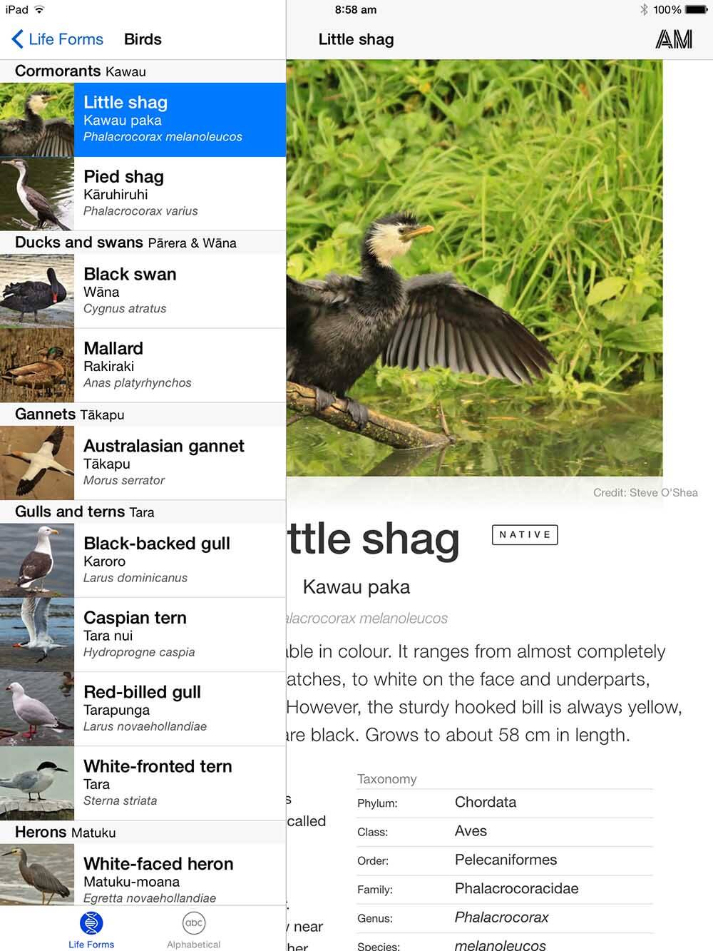Download the marine life app - Collections Online - Auckland War ...