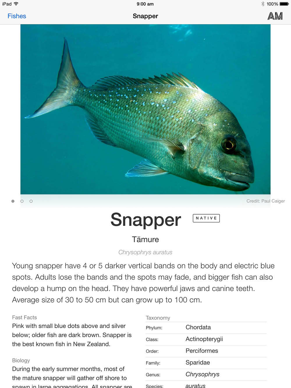 Download the marine life app - Collections Online - Auckland War ...