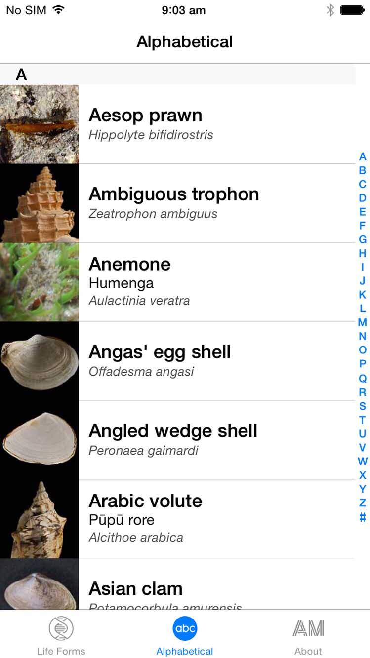 Download the marine life app - Collections Online - Auckland War ...